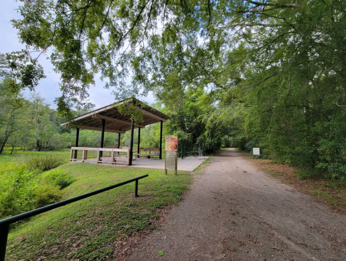 Explore the Scenic Comite Park Loop Trail in Louisiana