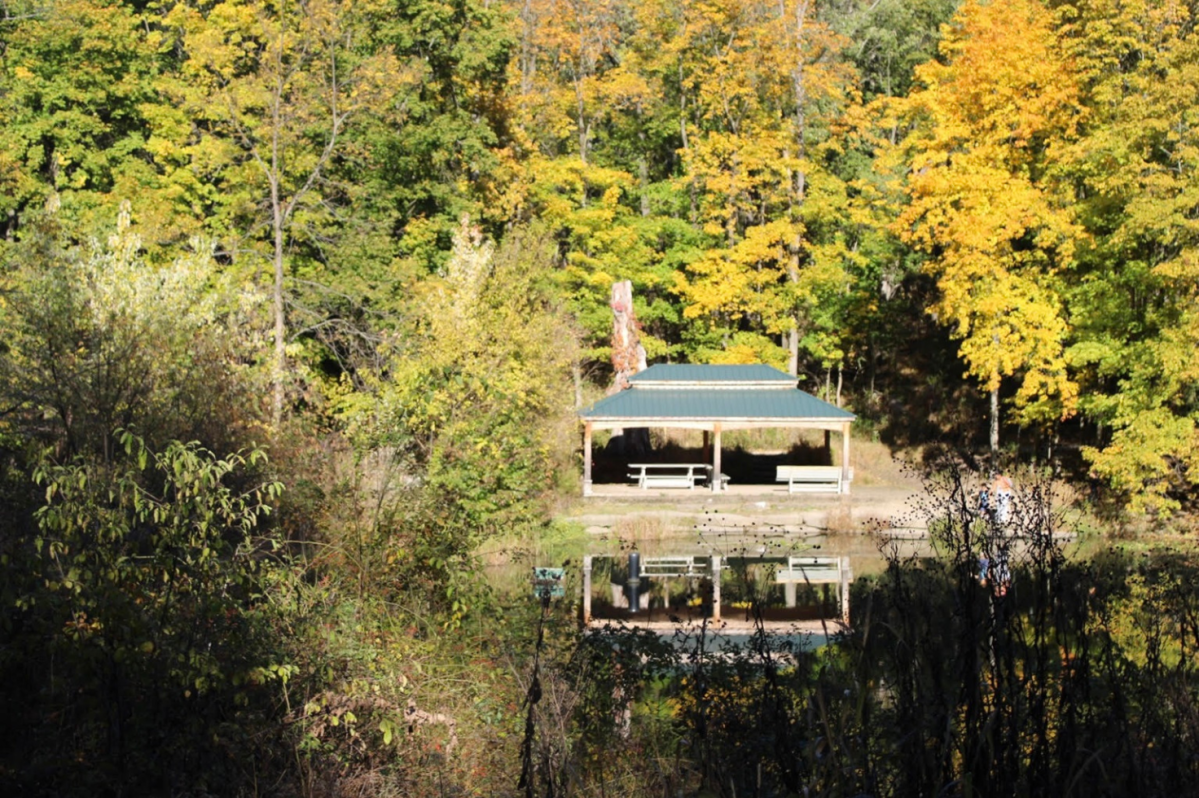 Discover Tranquility at Beechwood Farms Nature Reserve