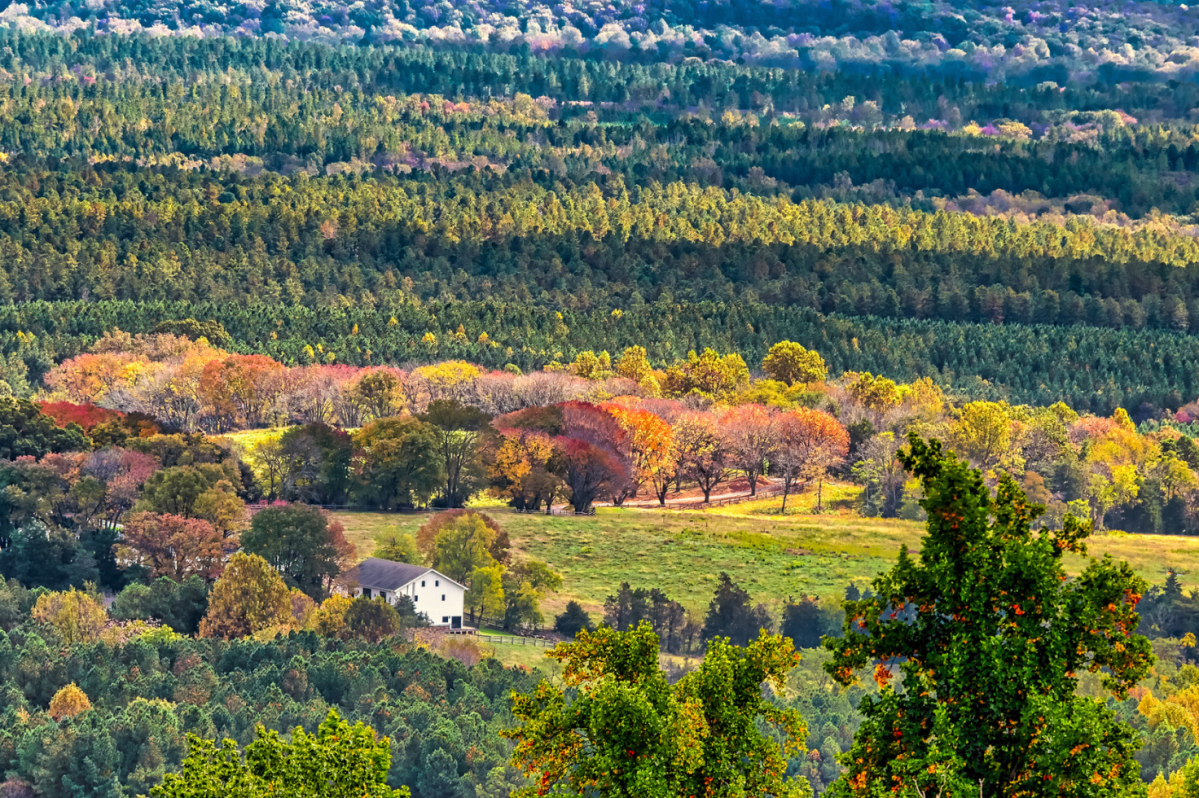 Discover Carter Overlook: Virginia's Scenic Gem
