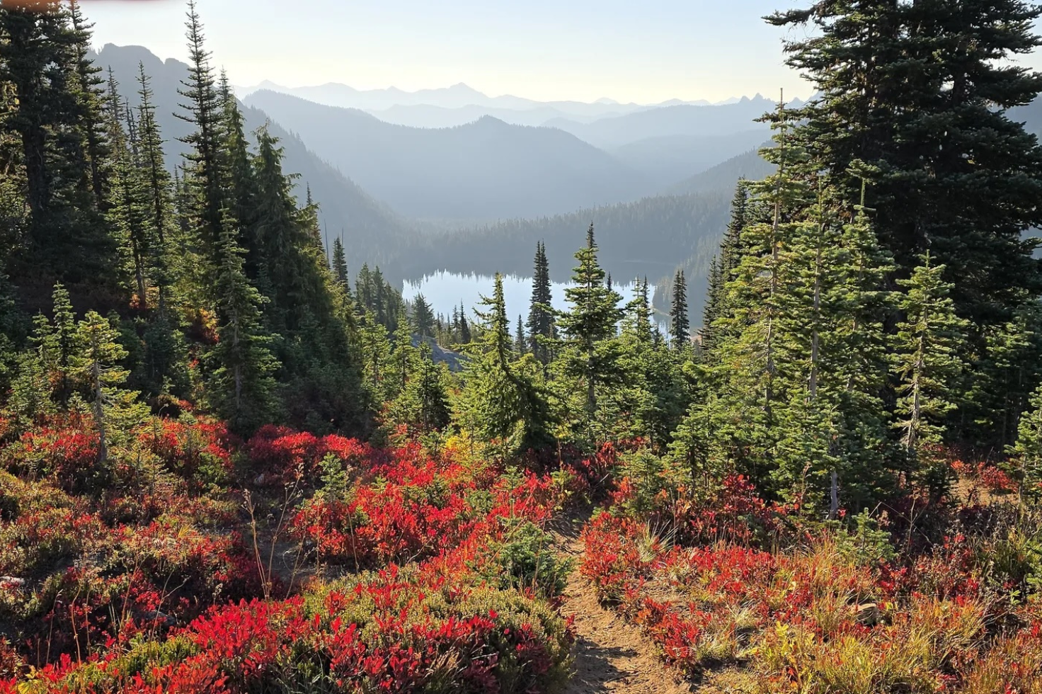 The 3-Mile Hiking Trail in Washington That Is a Fall Foliage Wonderland