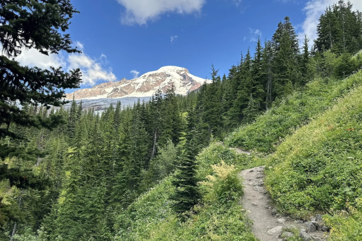 Explore the Challenging Heliotrope Ridge Trail in Washington