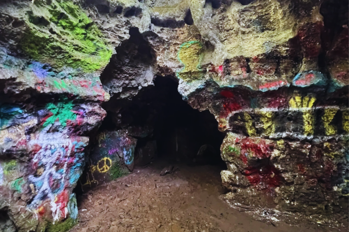 Discover Florida's Hidden Dames Caves and Lizzie Heart Sink Trail