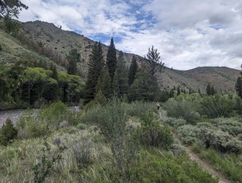 Discover Wyoming's Hidden Gem: Encampment River Trail