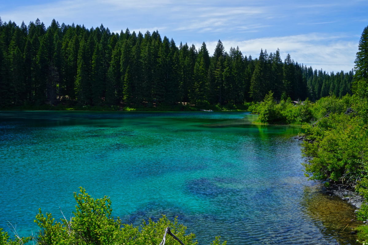 Discover Oregon's Clear Lake: A Hidden Gem for Nature Lovers