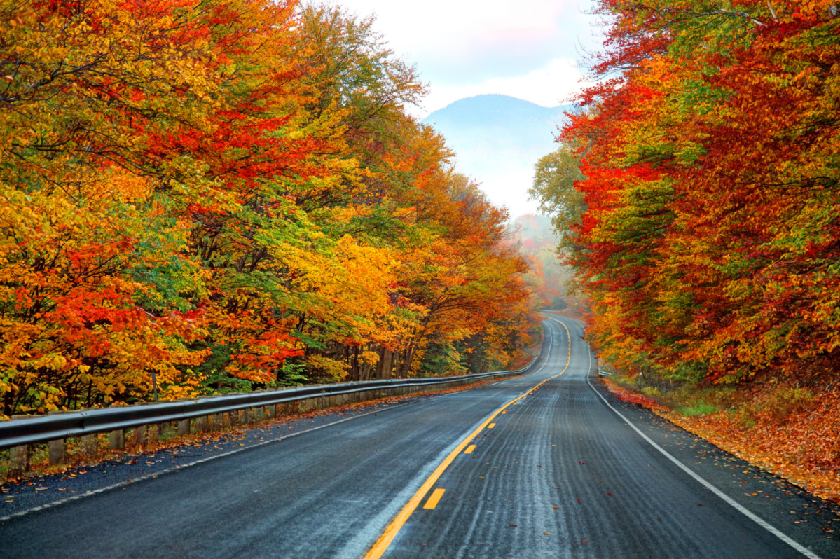 Explore the Kancamagus Highway's Fall Foliage