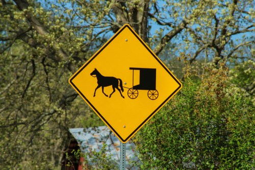 Exploring Amish Communities in Virginia