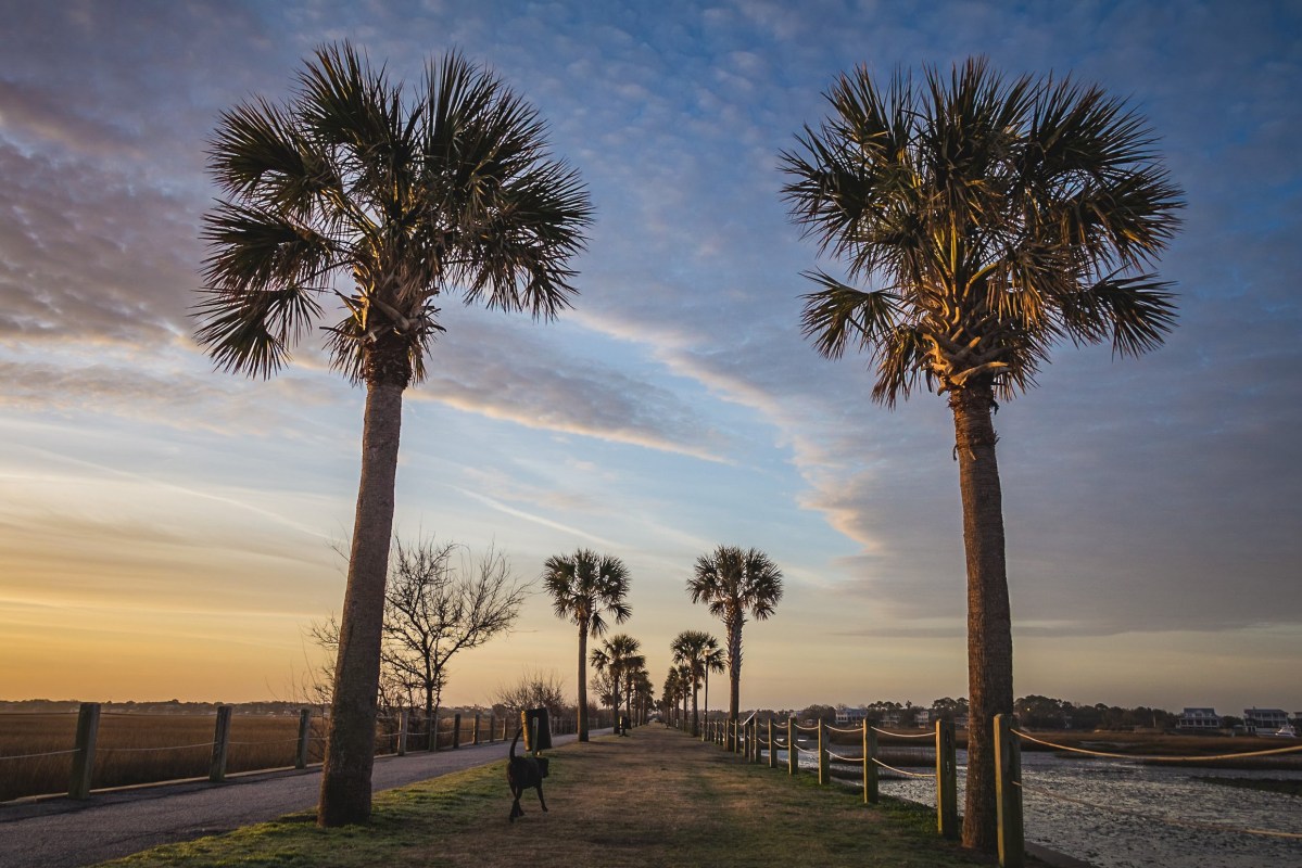 Discover Mount Pleasant: A Scenic Beach Getaway