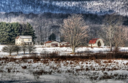 West Virginia Winter 2024-2025: Colder and Snowier Forecast