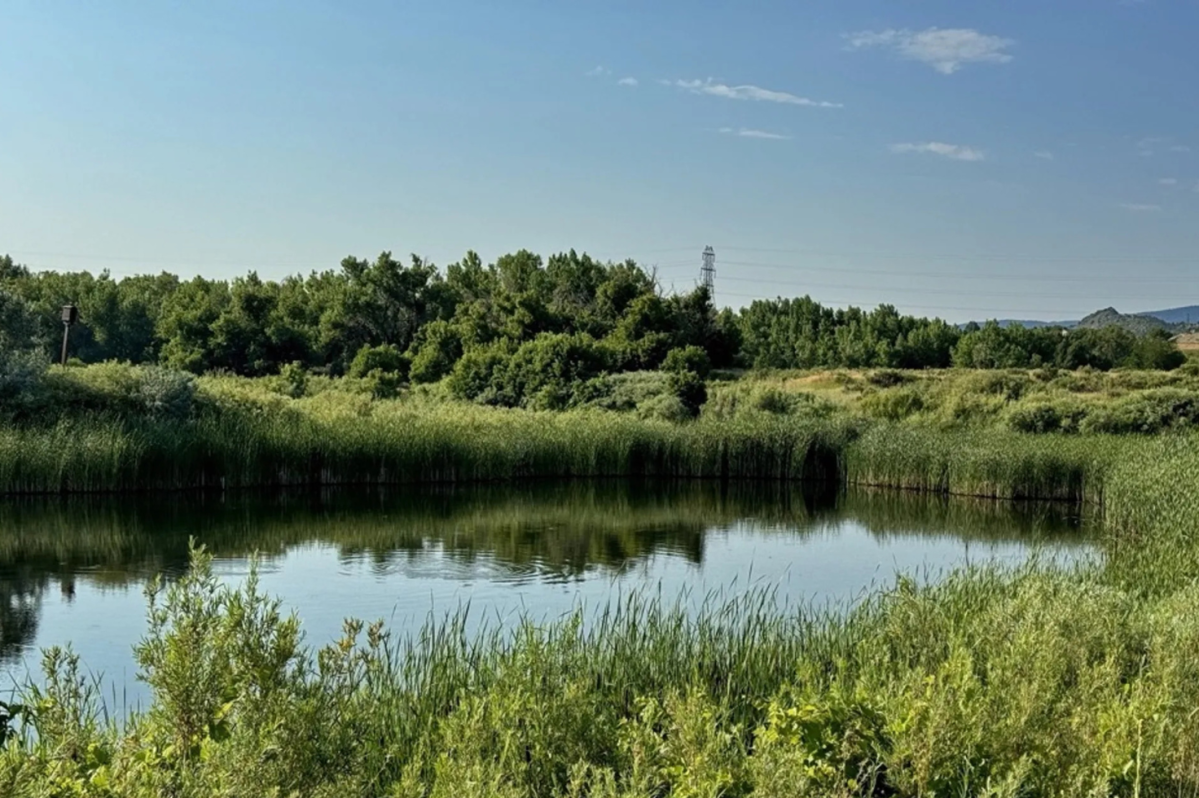 Colorado's Chatfield State Park Is Home to an Amazing Audubon Important ...