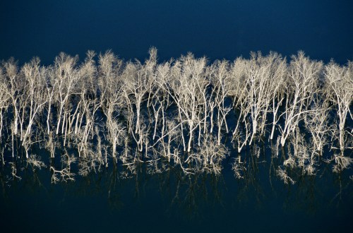 Discover Calamus Reservoir: Nebraska's Hidden Gem