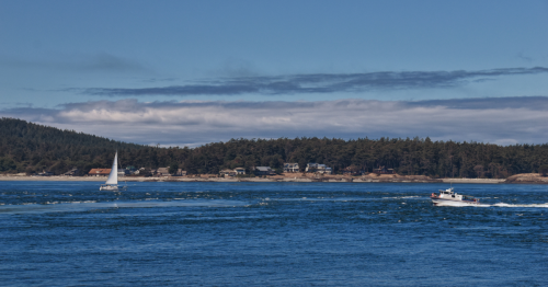 Get Lost In The 6 Best Corn Mazes In Washington This Fall