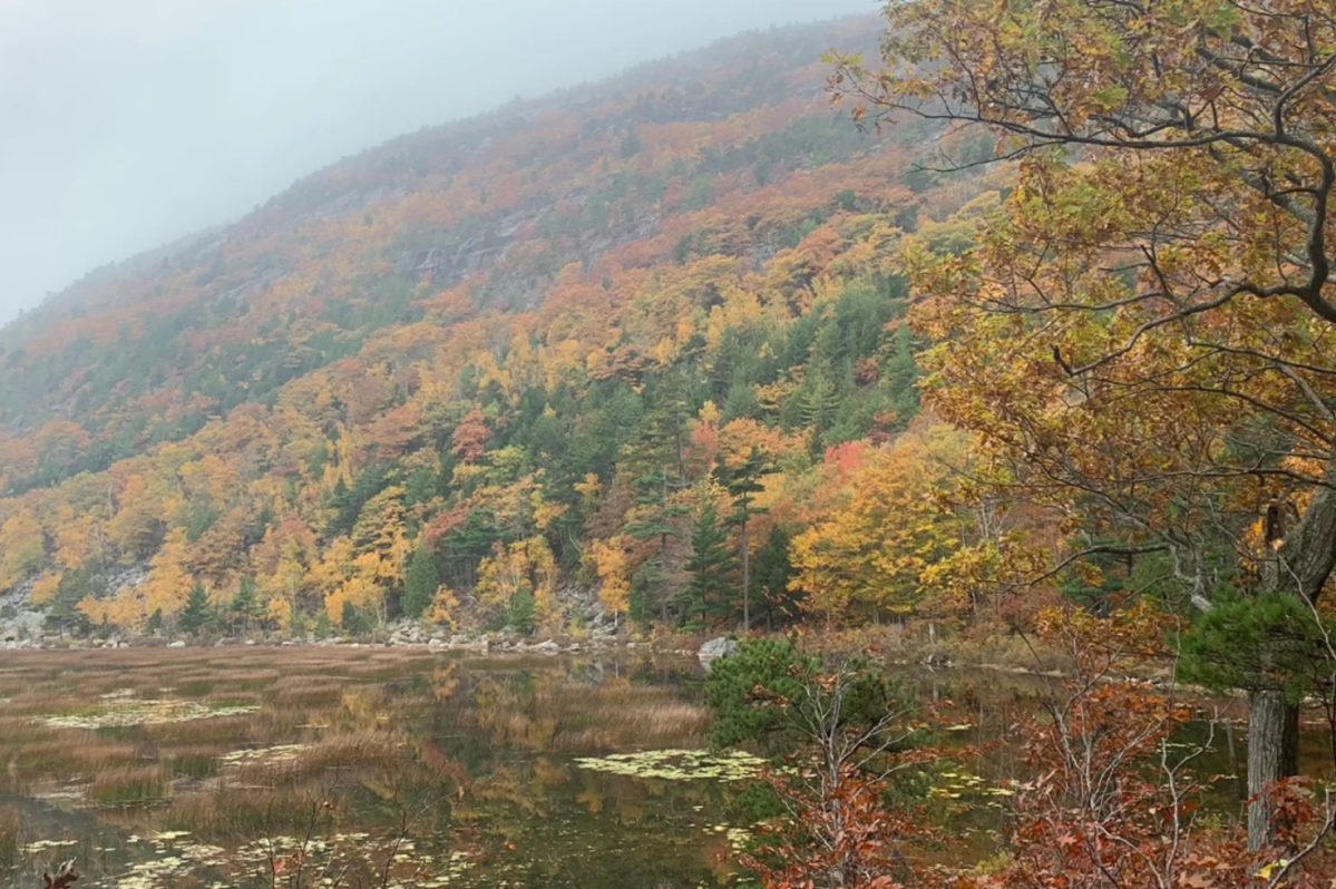 Discover Jesup Path's Stunning Fall Foliage in Maine