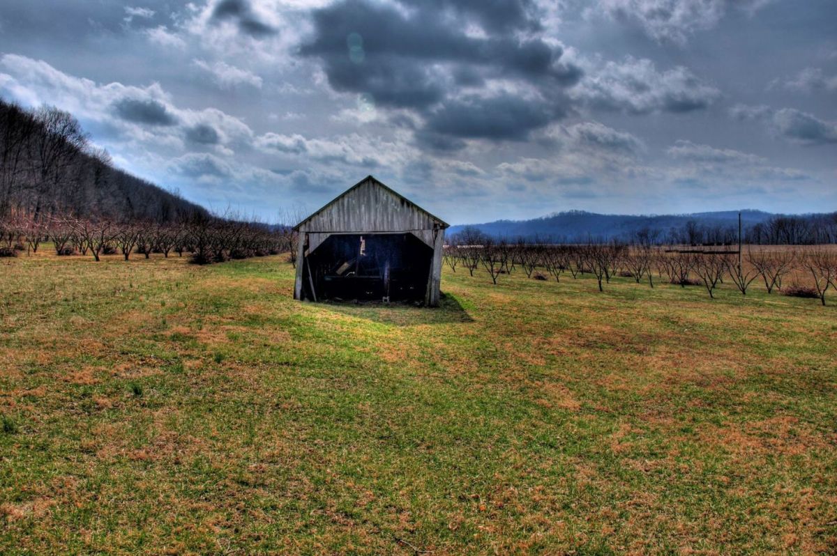 Discover New Amsterdam, Indiana: A Tiny Town with Big Charm