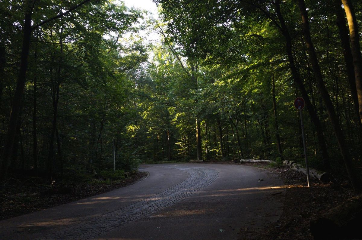 The Abandoned Jungle Park Speedway in Indiana Has a Long, Sordid History