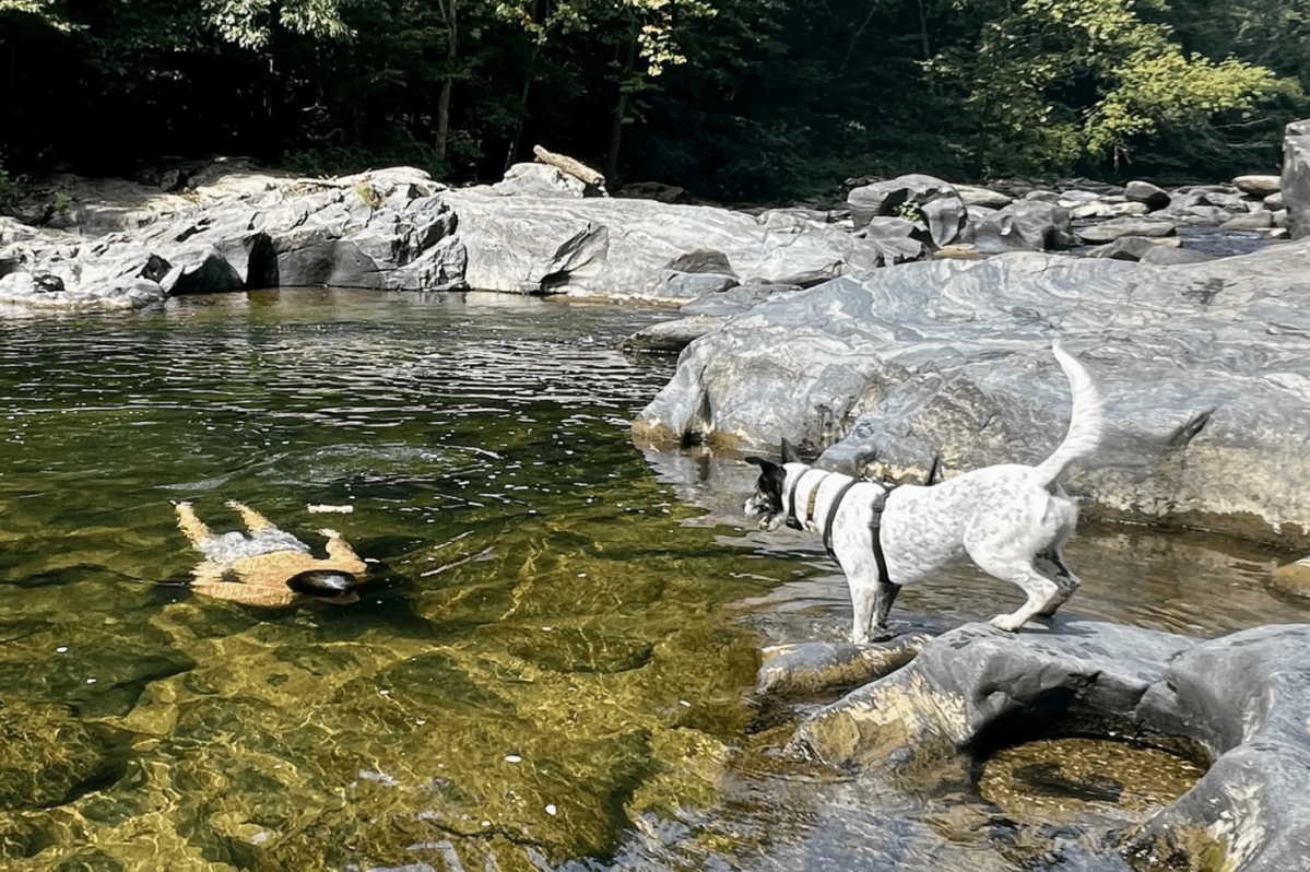 Discover Pot Rocks: Maryland's Hidden Swimming Gem