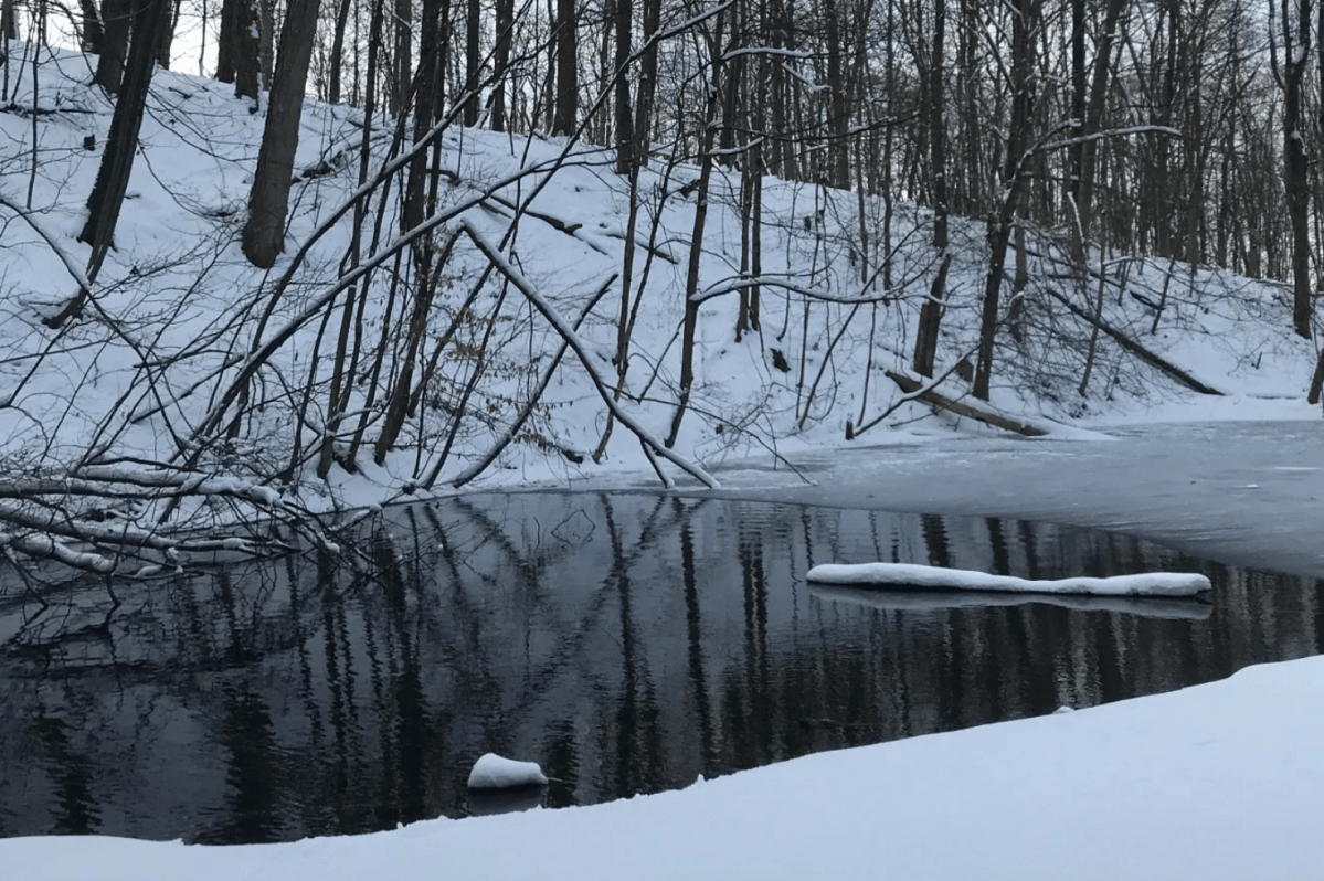 Discover Ohio's Hidden Natural Springs at Cool Springs Park