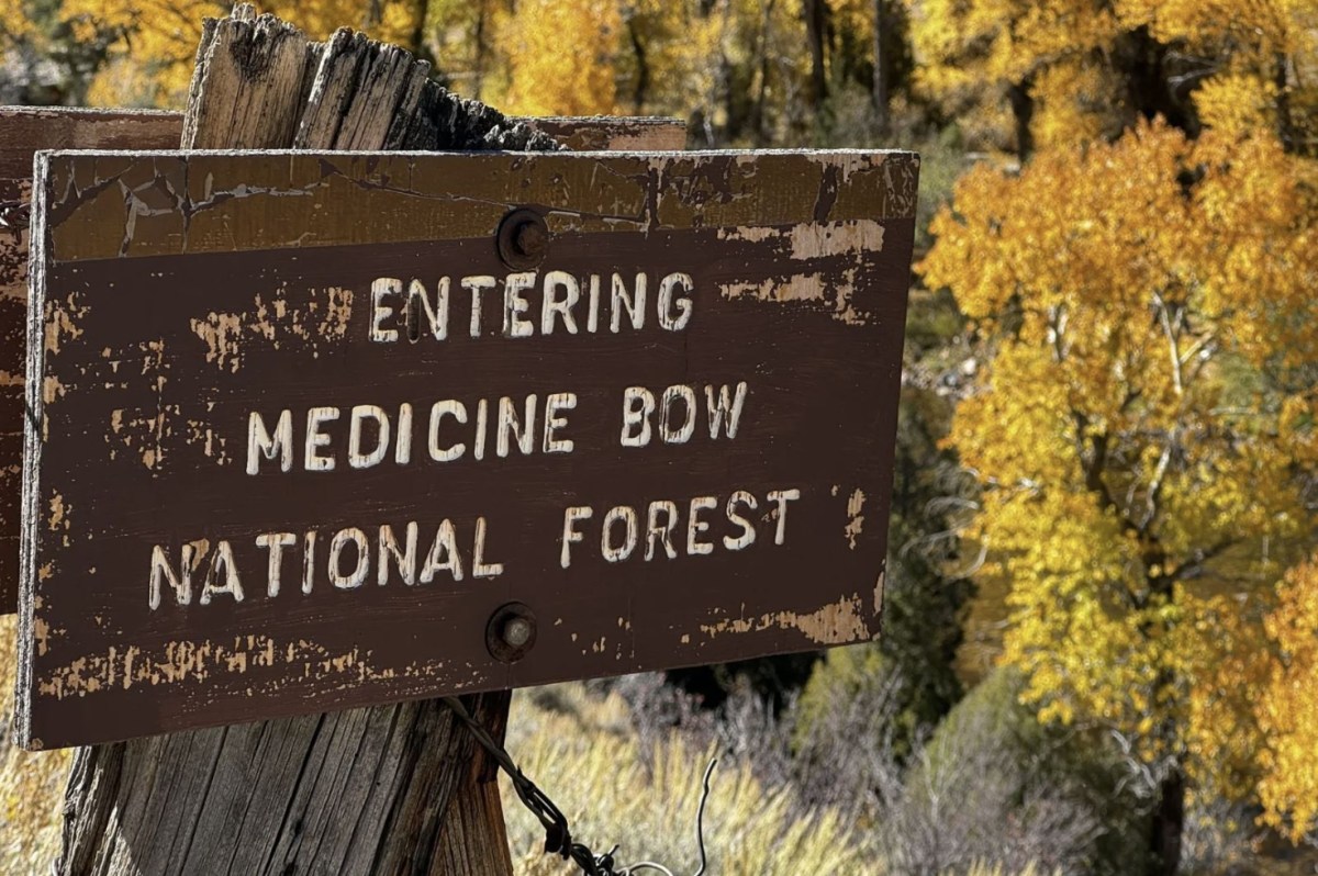 Discover Wyoming's Hidden Gem: Encampment River Trail