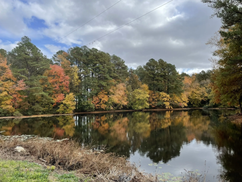 Discover Fall Foliage on Delaware's Bob Trail