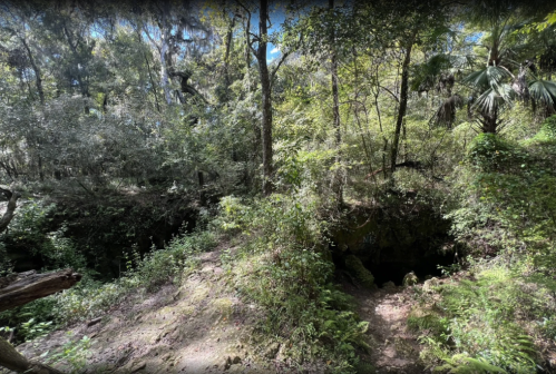 Discover Florida's Hidden Dames Caves and Lizzie Heart Sink Trail