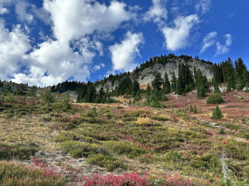 Discover the Fall Magic of Naches Peak Loop