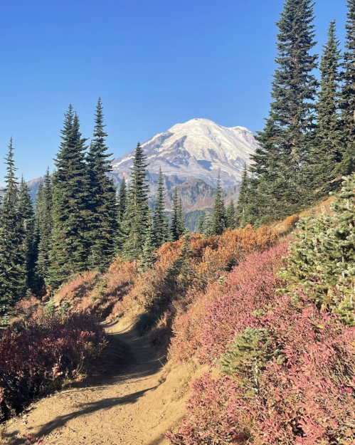 Discover the Fall Magic of Naches Peak Loop