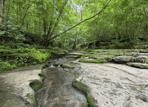 Raven Run Red Trail Guide: What to Know Before Hiking in Lexington ...
