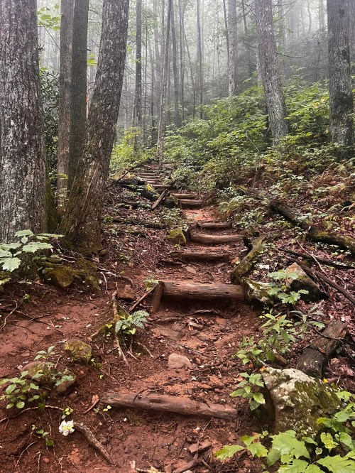 Conquer the Coosa Backcountry Trail in Georgia