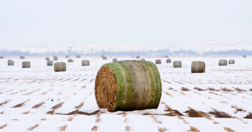 Vala's: One Of The Largest Pumpkin Patches In Nebraska