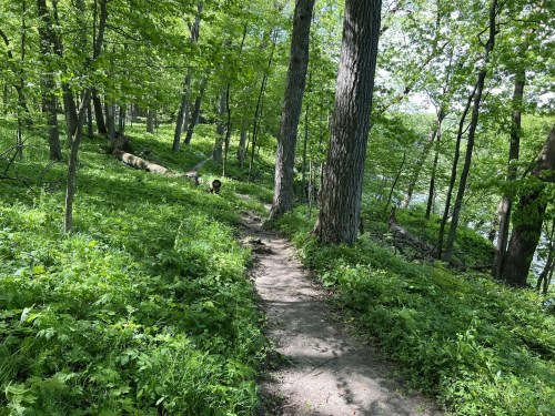 Explore Iowa's Iconic Backbone Trail
