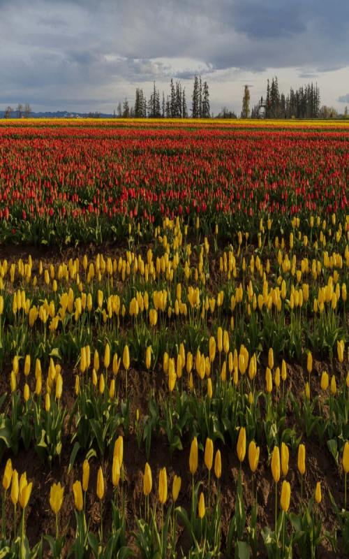 Only In Your State: Discover Magic In Your Own Backyard