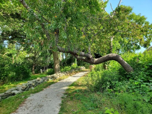 Hanging Rock Trail: An Iconic Hike in Rhode Island