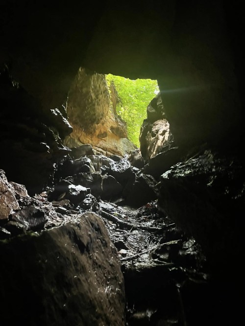 Explore the Thrilling Depths of Georgia's Fantastic Pit