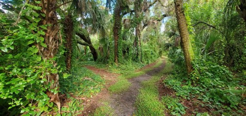 LaBelle, Florida: Where Cowboy History and River Living Meet