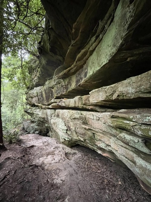 Discover the Beauty of Northrup Falls in Tennessee