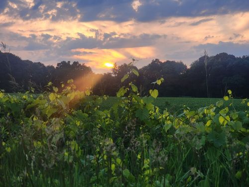 Explore Michigan's Mike Levine Lakelands Trail