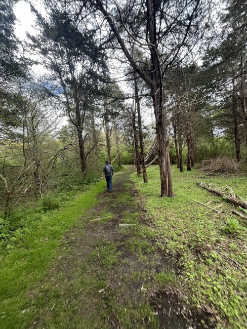 Hanging Rock Trail: An Iconic Hike in Rhode Island