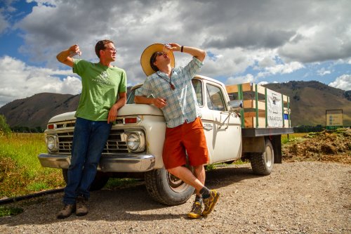 Discover Farmstead Cider in Jackson, Wyoming