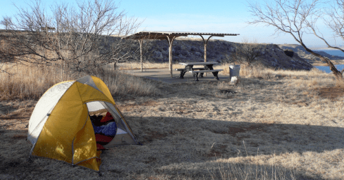 Biggest Pumpkin Patch In Texas: The T-Ranch, La Feria