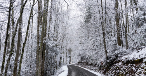 The 15 Best Things To Do In Tennessee In Winter