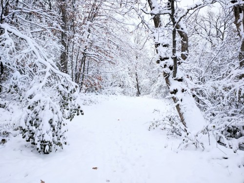 Discover Dunton Locks County Park in Minnesota