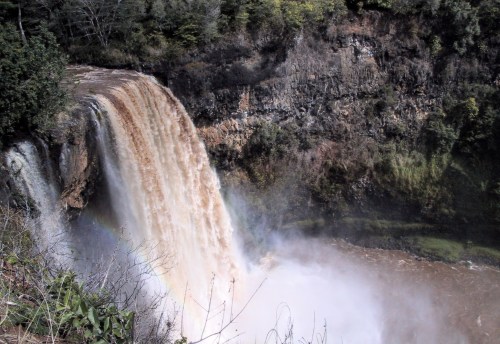 This Fern Grotto is One Of The Most Wondrous Hidden Gems in Hawaii