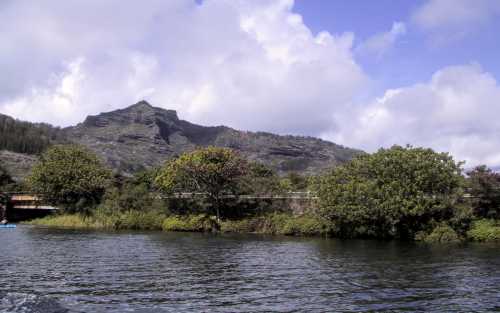 This Fern Grotto is One Of The Most Wondrous Hidden Gems in Hawaii