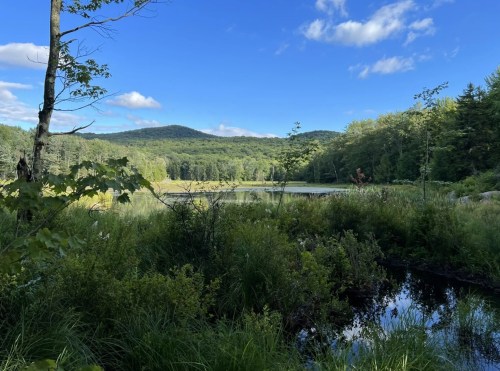 5 Quiet Trails in Vermont to Explore This Month