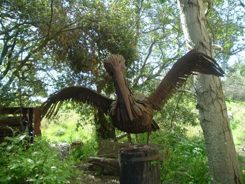The Audubon Center in Northern California Where You'll See More Than ...