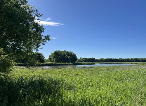 Harrisburg Is a Must-Visit up-and-Coming City in South Dakota