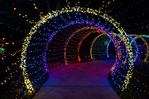 The 13 Best Things to do in Louisiana in Winter