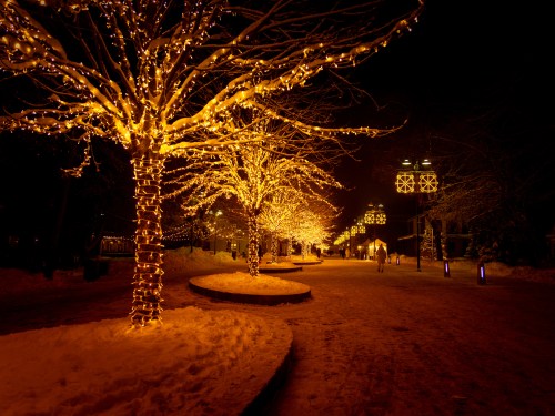 The 15 Best Things to do in North Carolina in Winter