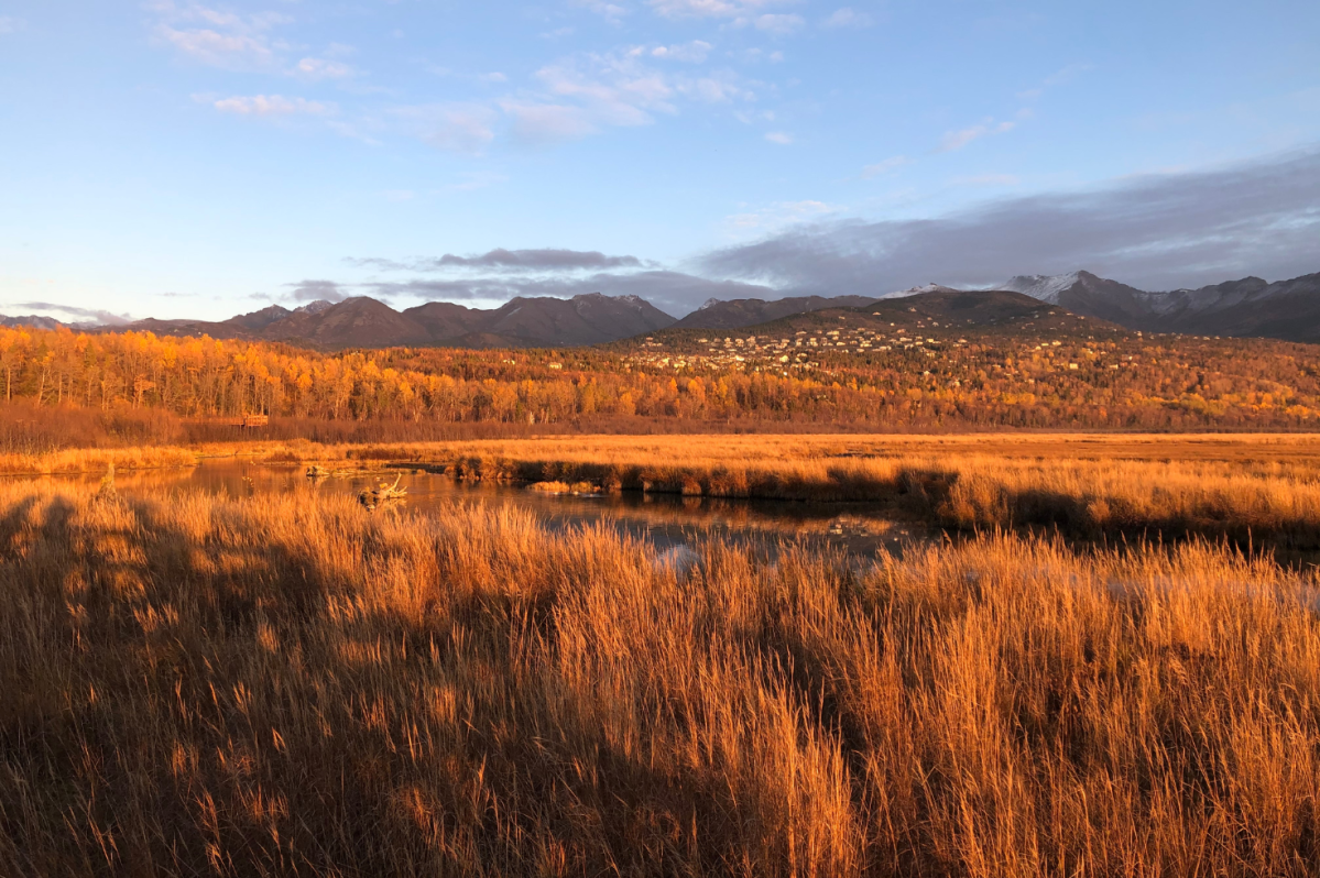 The Potter Marsh Boardwalk In Alaska Is A Gem of a Destination