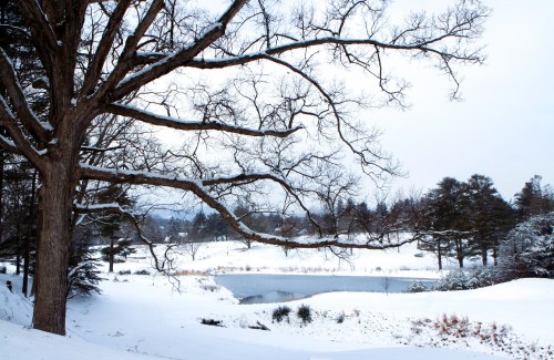15 Breathtaking Shots of Winter in North Carolina