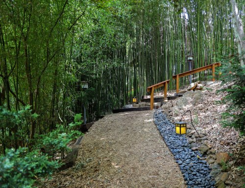 Shoji Spa In North Carolina Is A Gem of a Destination